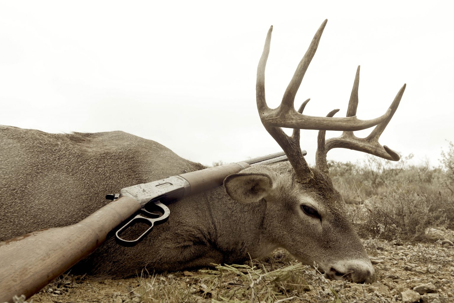 Ron Spomer, Author at Born Hunting