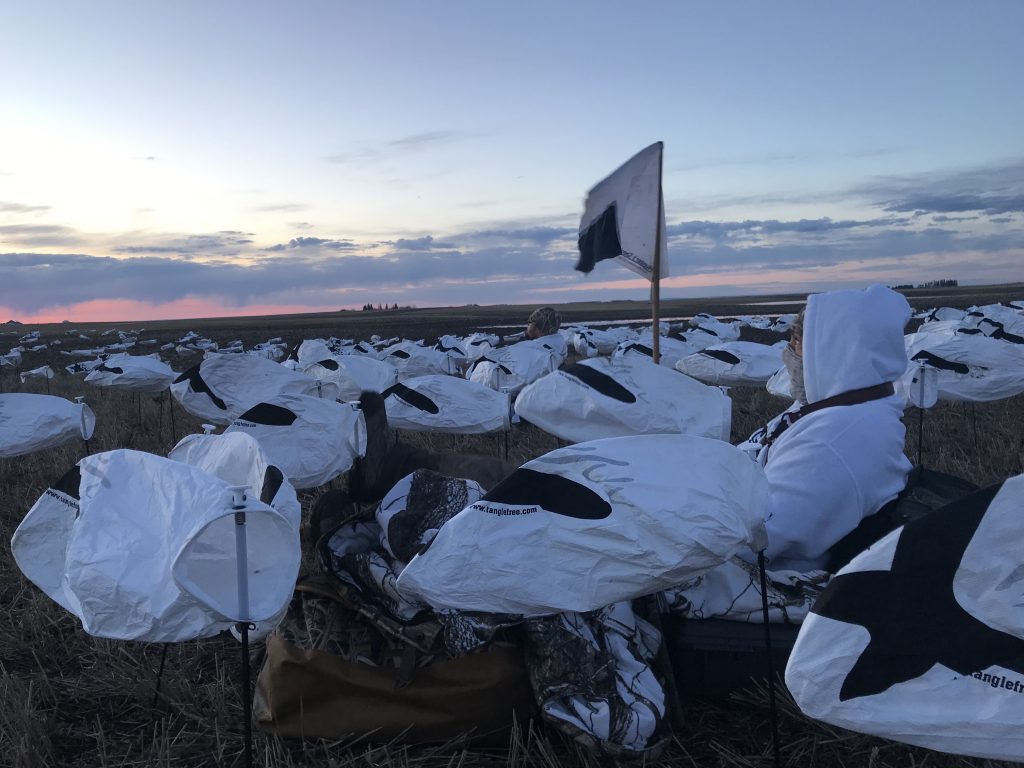 Welcome to the Addiction - Born Hunting