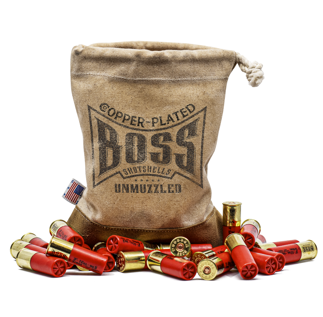 The Bismuth Boom - Born Hunting