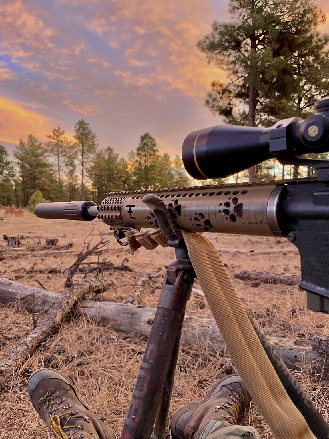 Rock River's Fred Eichler Series Predator LAR-15M - Born Hunting