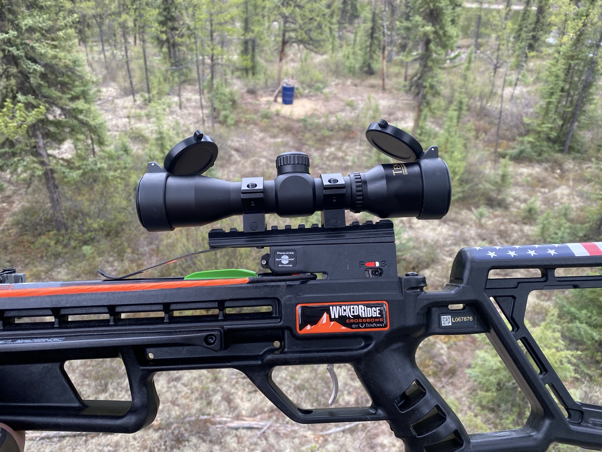 Wilderness Black Bears - Born Hunting