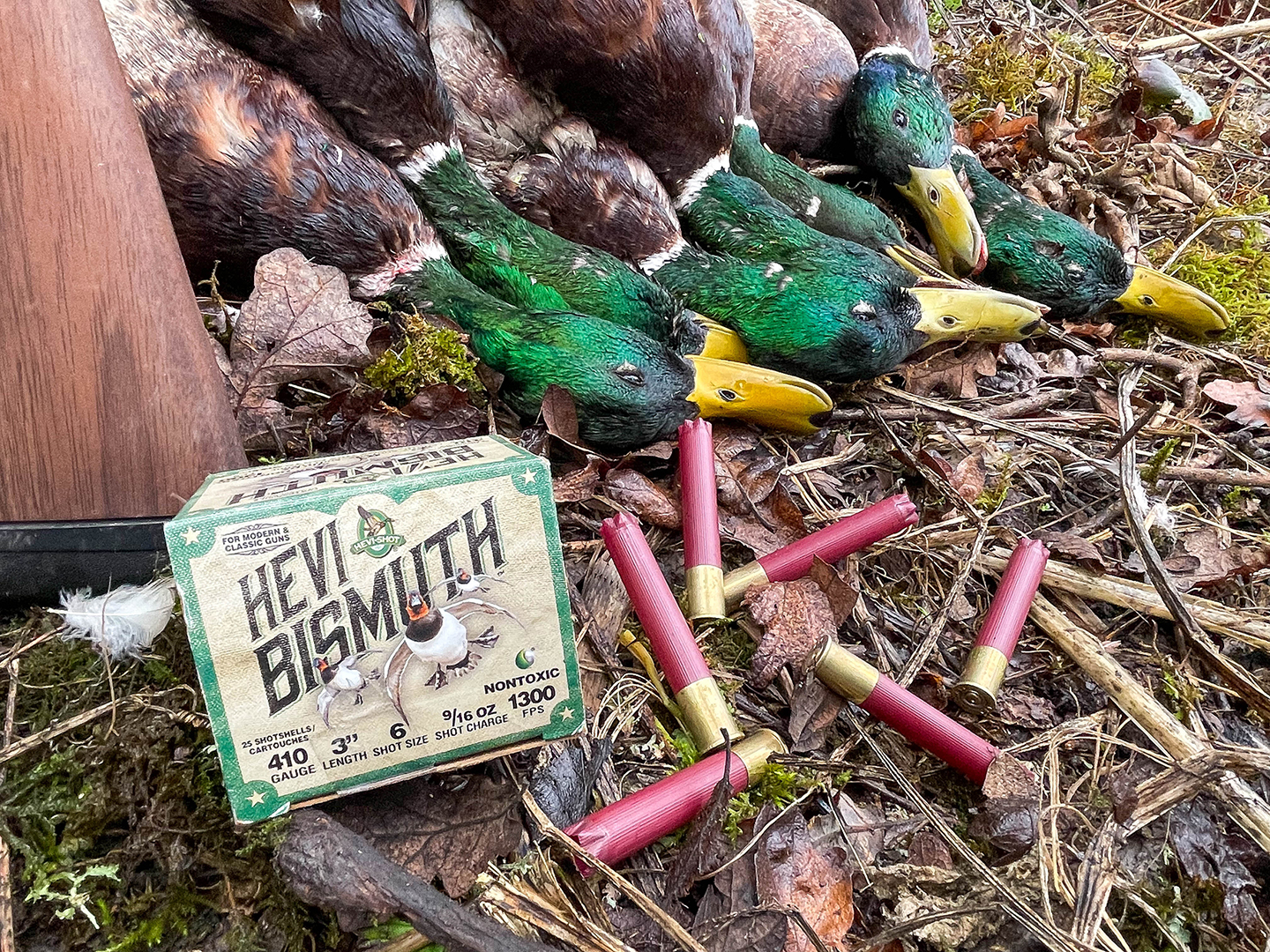Sub-Gauges For Ducks - Born Hunting