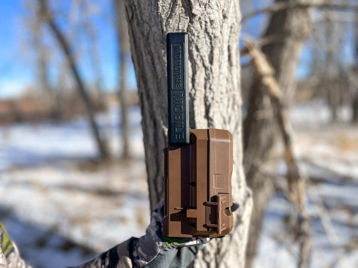 Field Test: Moultrie Mobile Edge Cellular Trail Camera - Born Hunting