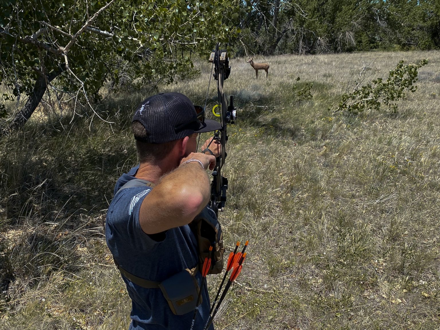 Tried-And-True: Easton Axis 4MM Long Range - Born Hunting