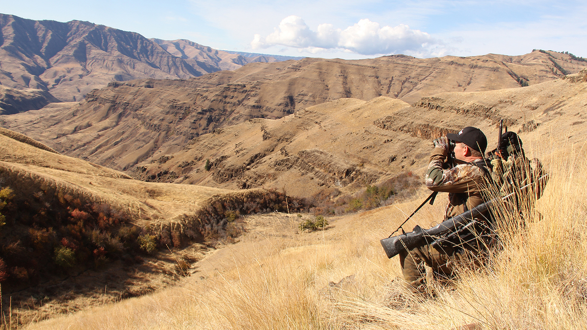 How To Choose A Hunting Rifle - Born Hunting