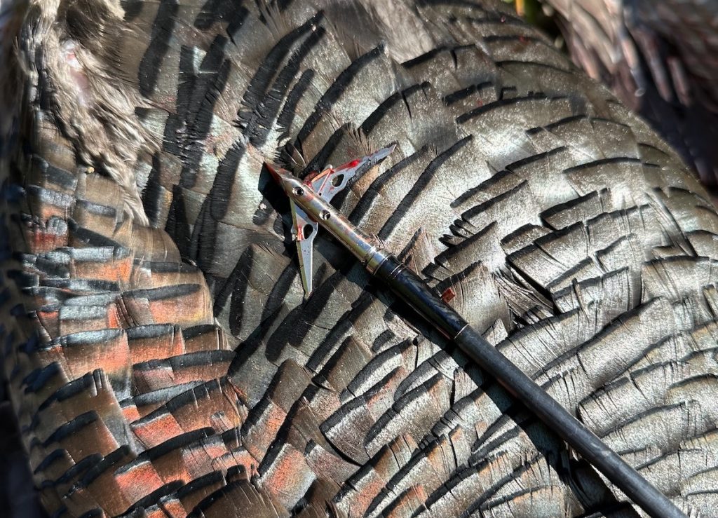 Better Turkey Gear - Born Hunting