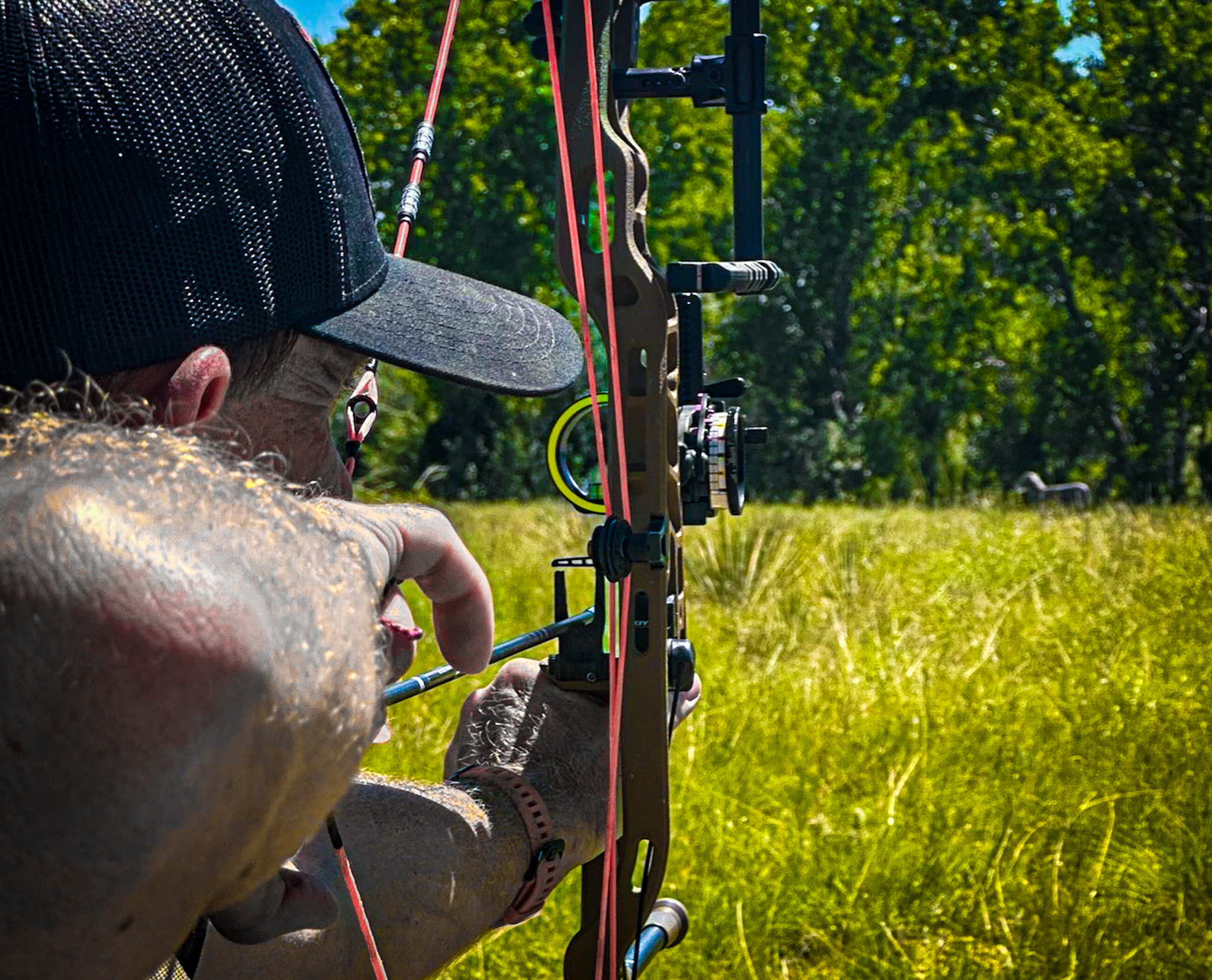 Three Bow Shooting Games That Will Get You Ready For Fall - Born Hunting