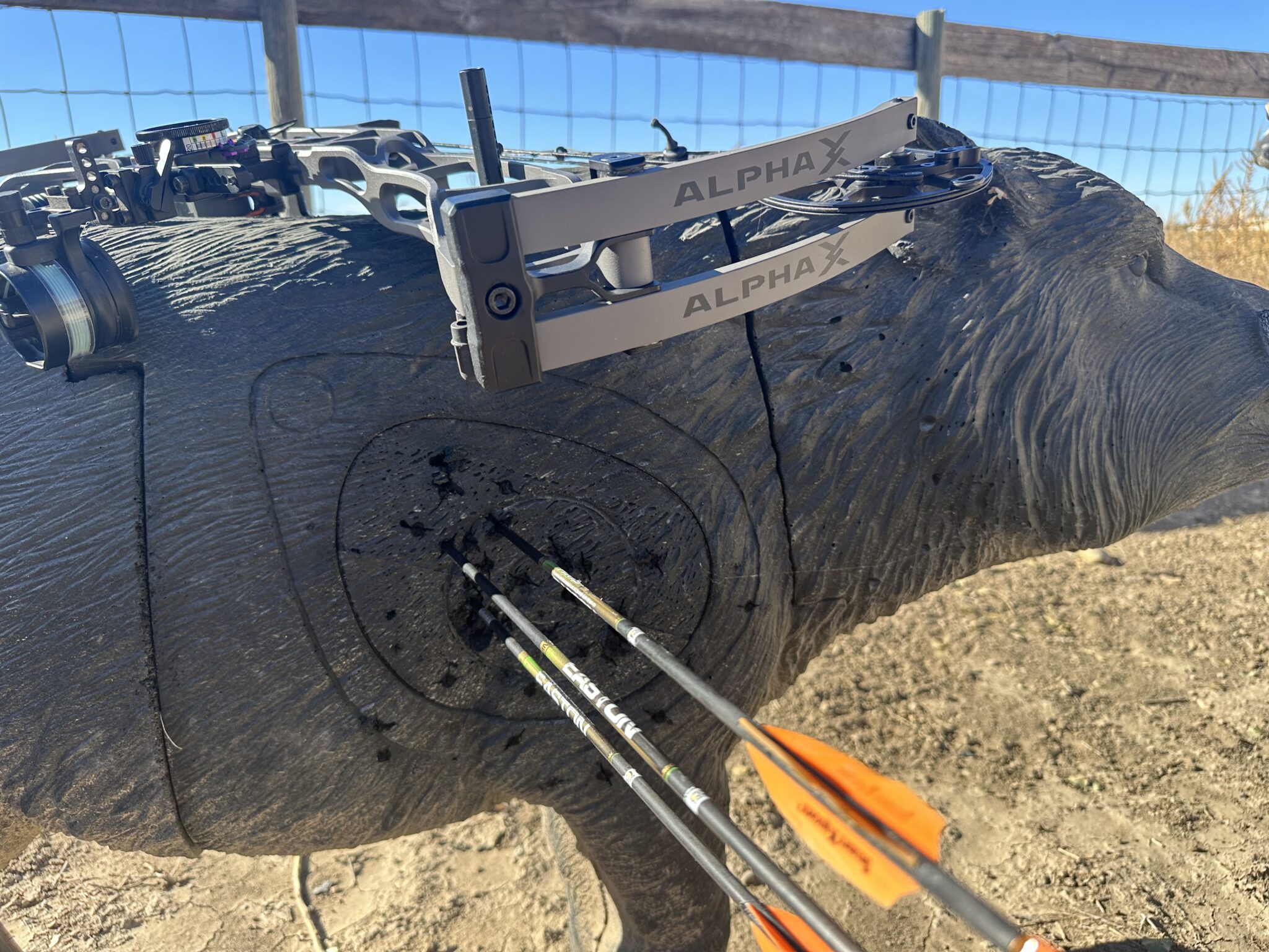 Tested True: Hoyt's 2024 Alpha X 33 - Born Hunting