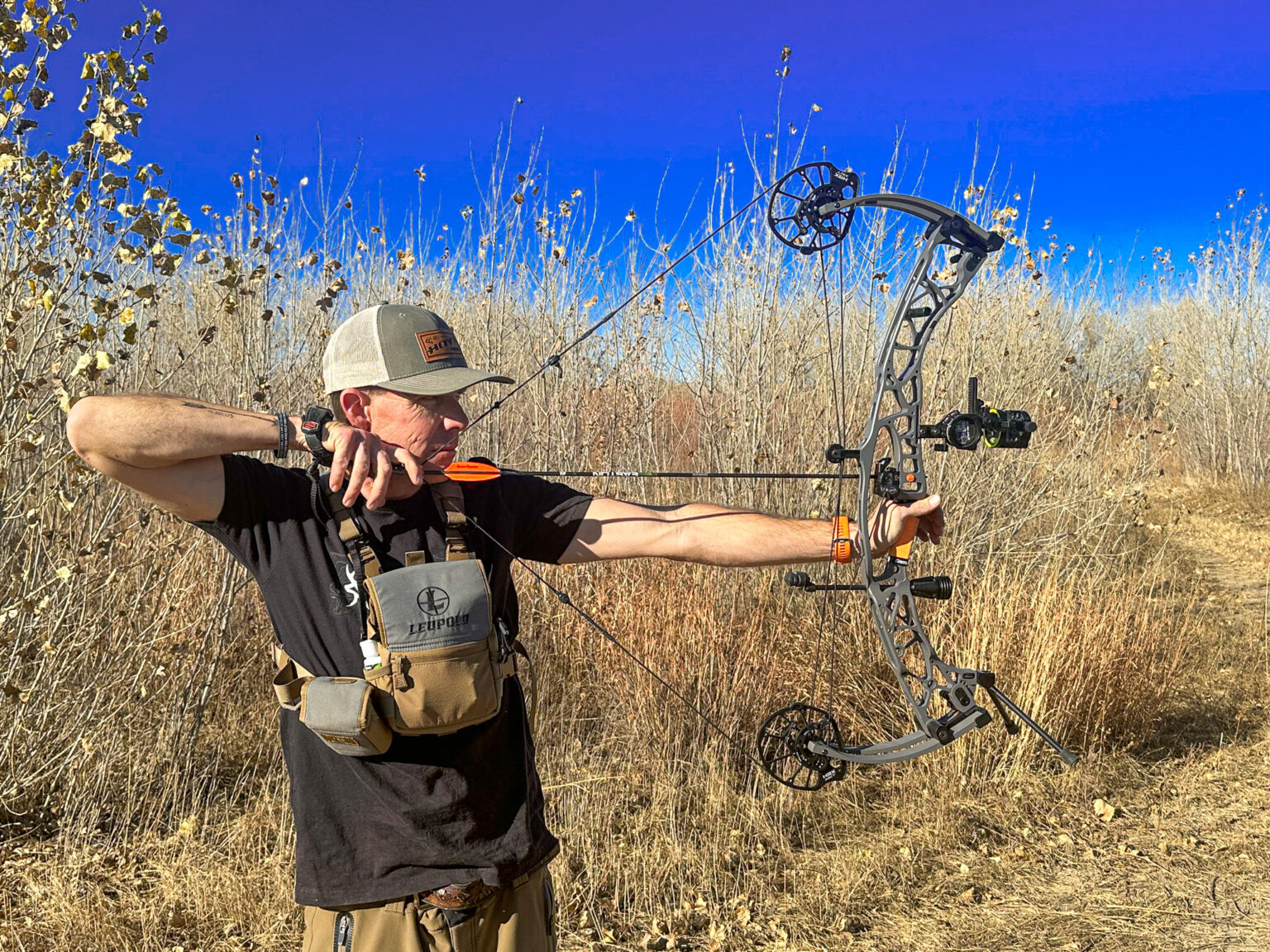 Tested True: Hoyt's 2024 Alpha X 33 - Born Hunting