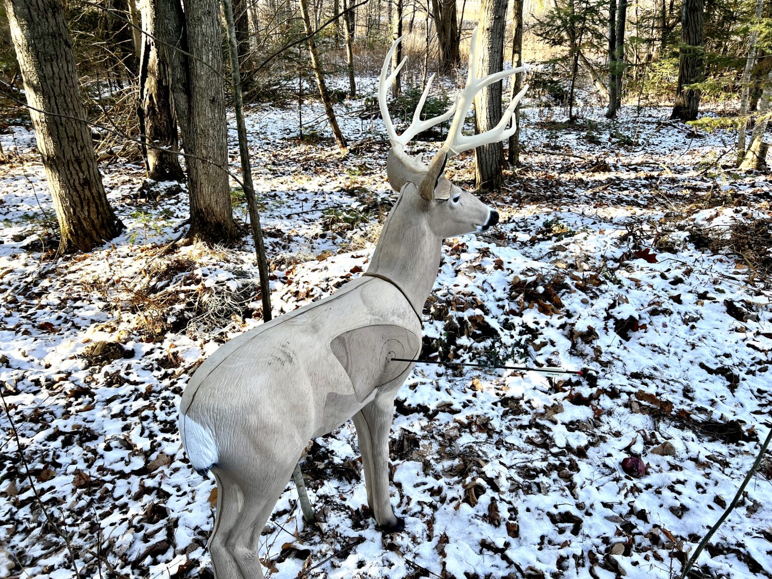 Rinehart Signature 3-D Targets - Born Hunting
