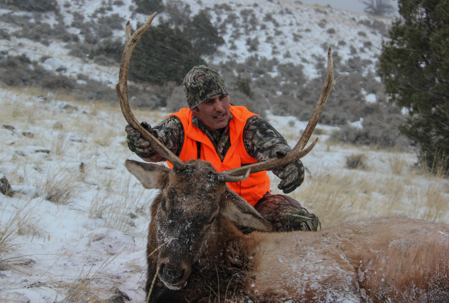 The Five Most Versatile Hunting Cartridges Today - Born Hunting