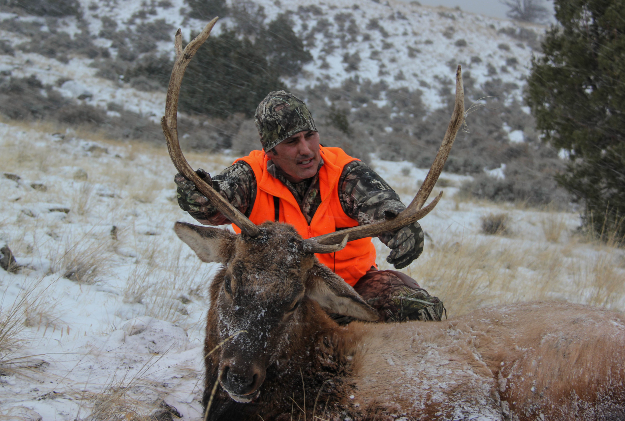 The Five Most Versatile Hunting Cartridges Today - Born Hunting