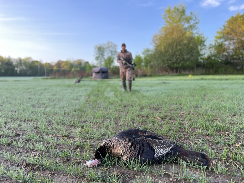 Tips For Hunting Turkey With A Crossbow - Born Hunting