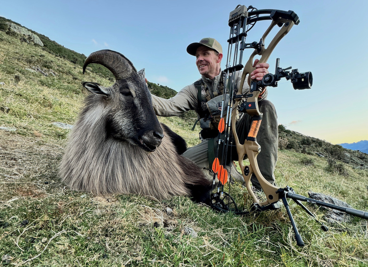 Tested True: SEVR's All-New 4-Blade Hybrid Broadheads - Born Hunting