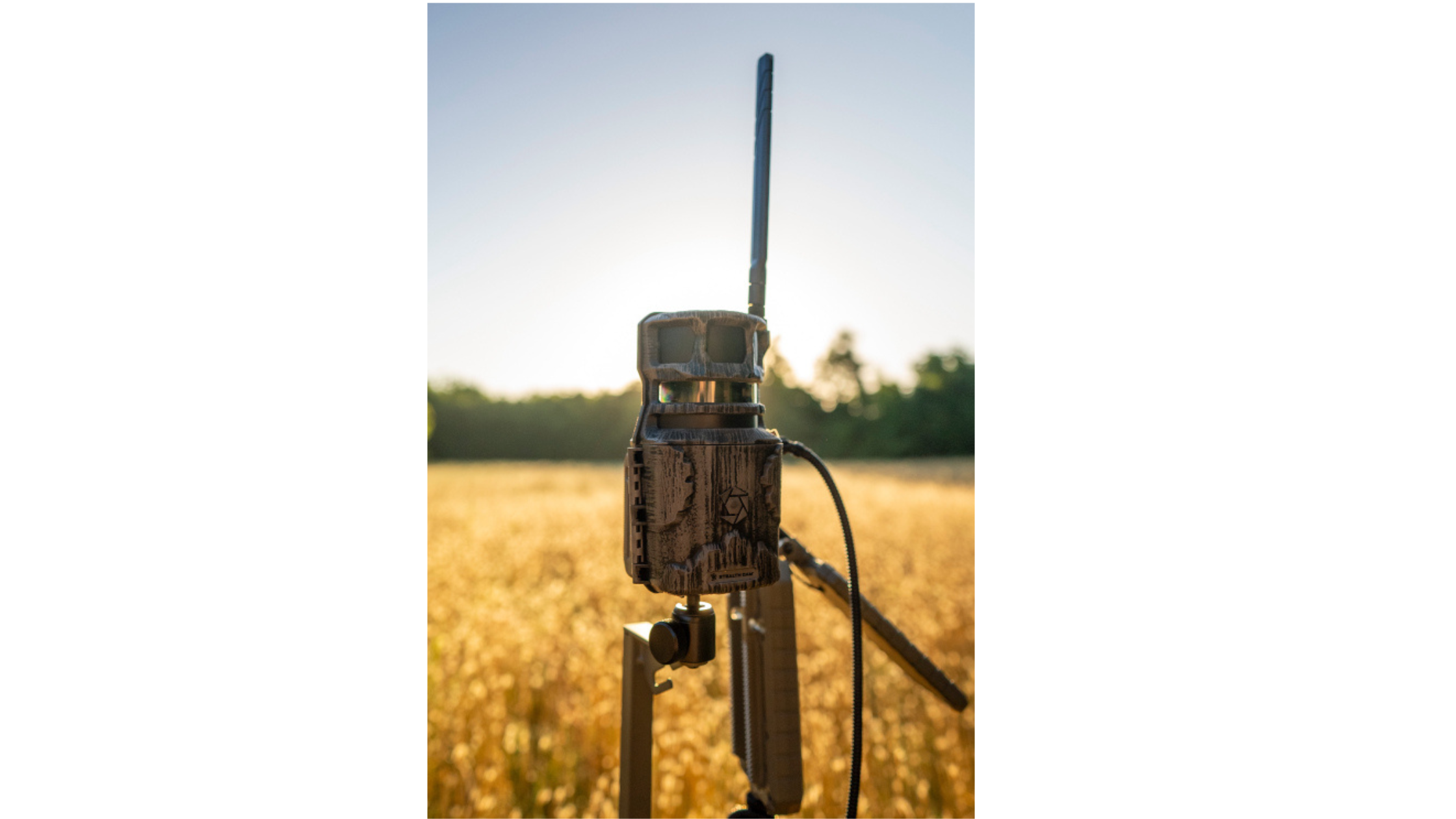 Stealth Cam’s On Demand Live Stream Now Available via Command Pro App ...