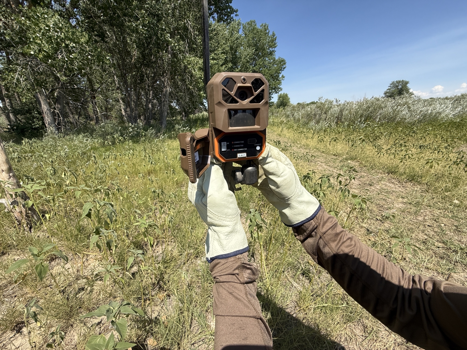 Tested True: Moultrie Edge 3 - Born Hunting
