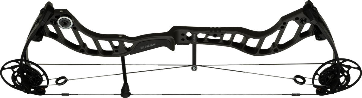 Tested True: Bowtech Ascend - Born Hunting