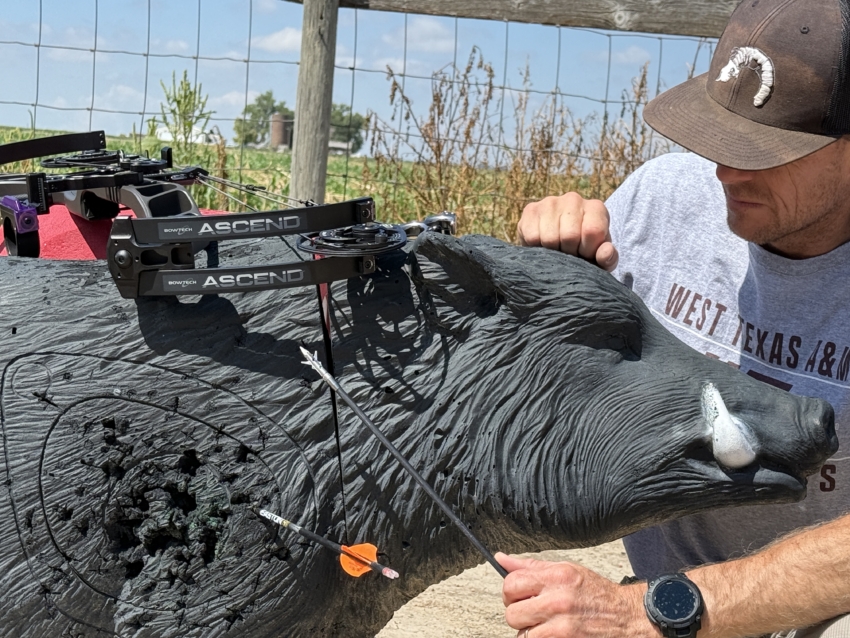 Tested True: Bowtech Ascend - Born Hunting