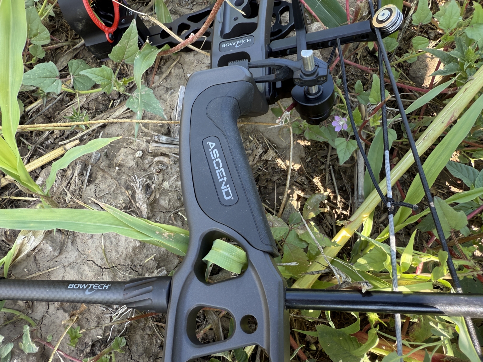Tested True: Bowtech Ascend - Born Hunting