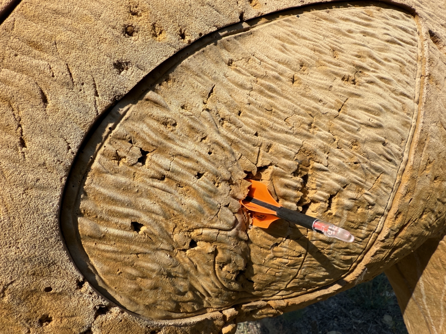Tested True: Flex-Fletch Pro 2.5 Vanes & LIT Lighted Nocks - Born Hunting