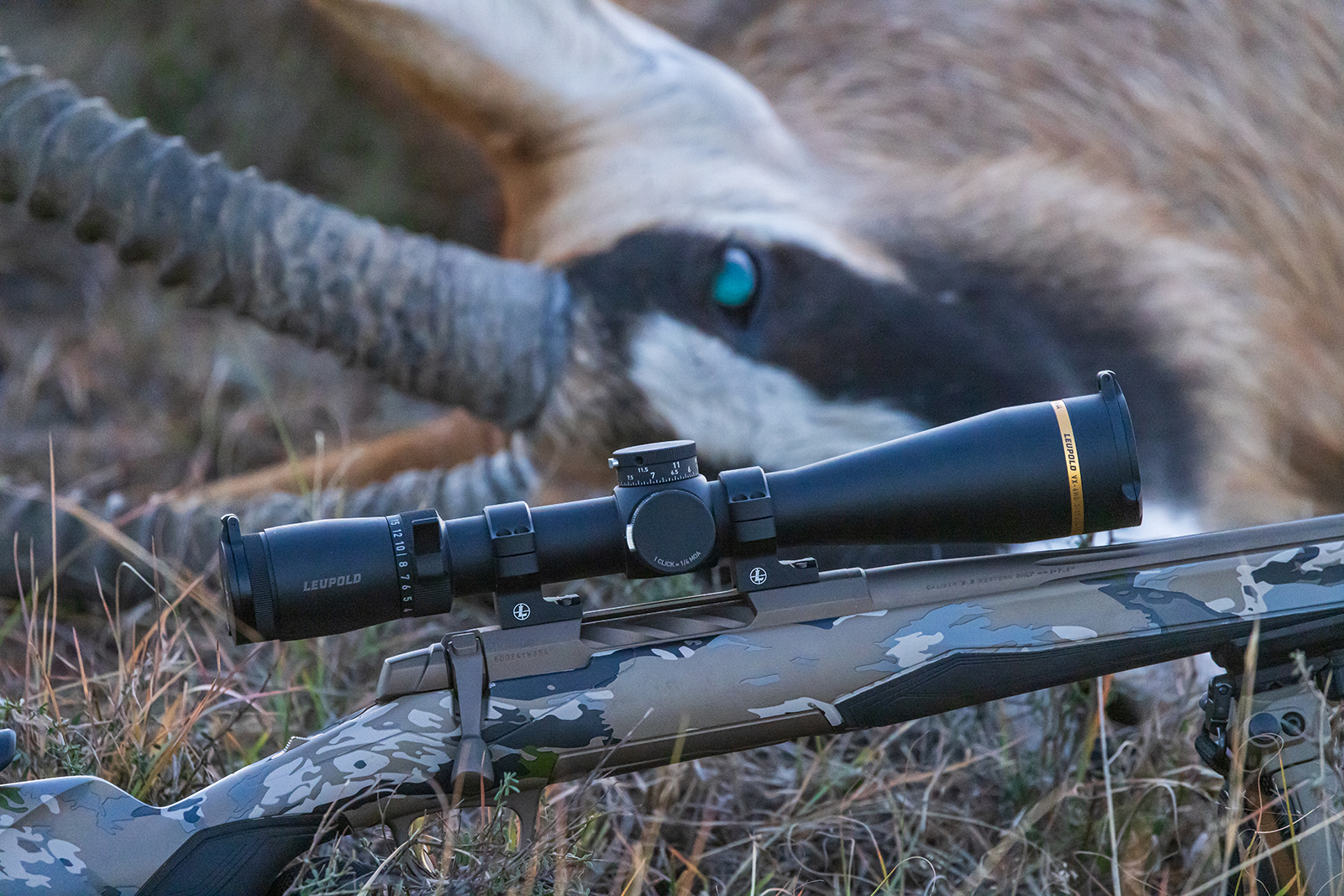 Sable & Roan: The Pinnacles of Plains Game - Born Hunting