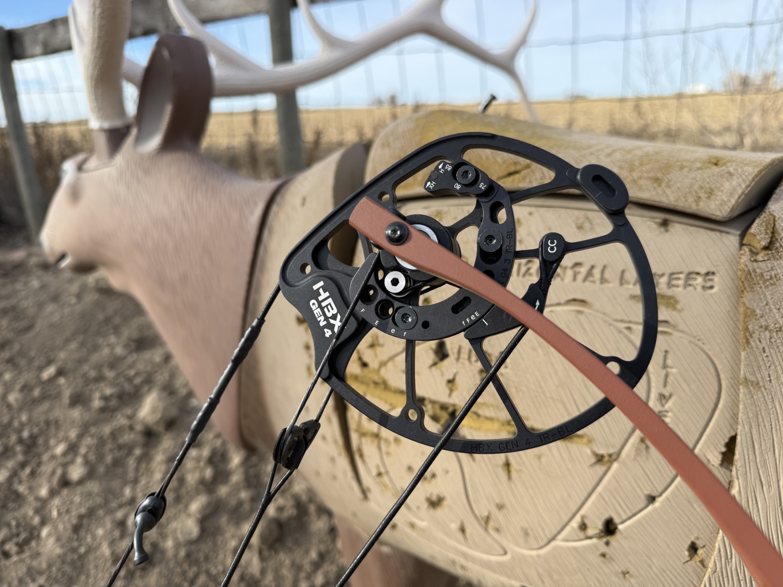 Tested True: Hoyt AX-3 33 - Born Hunting